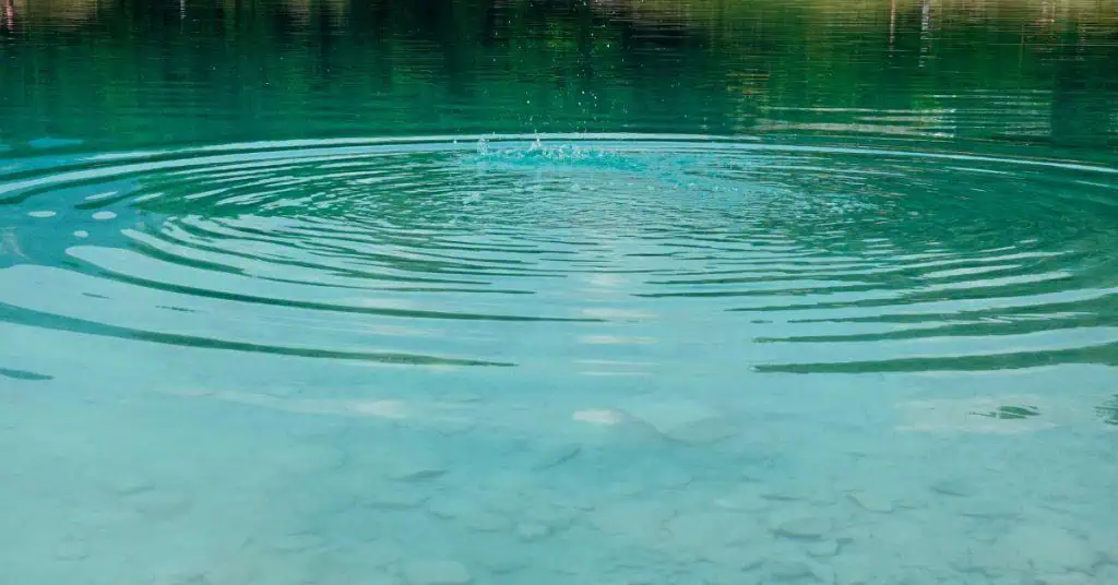 The Ultimate Guide to Alkaline Hydrolysis (Aquamation): A Gentle and ...