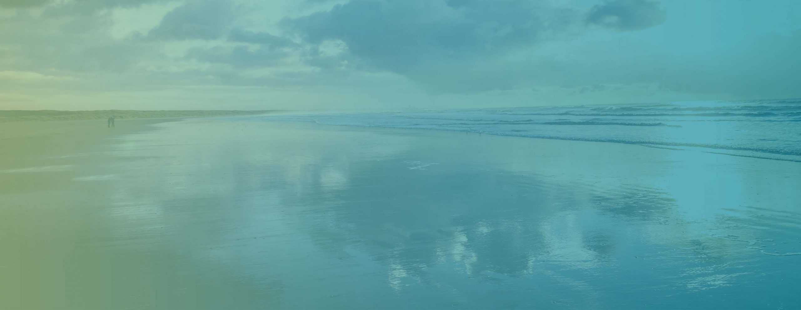 Hillsborough Aquamation - Endswell