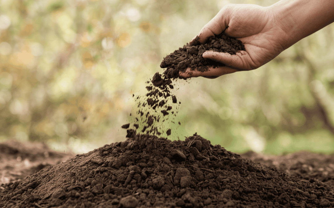 The Green Burial Process | Endswell Funeral Home | Eco-Friendly Funeral ...