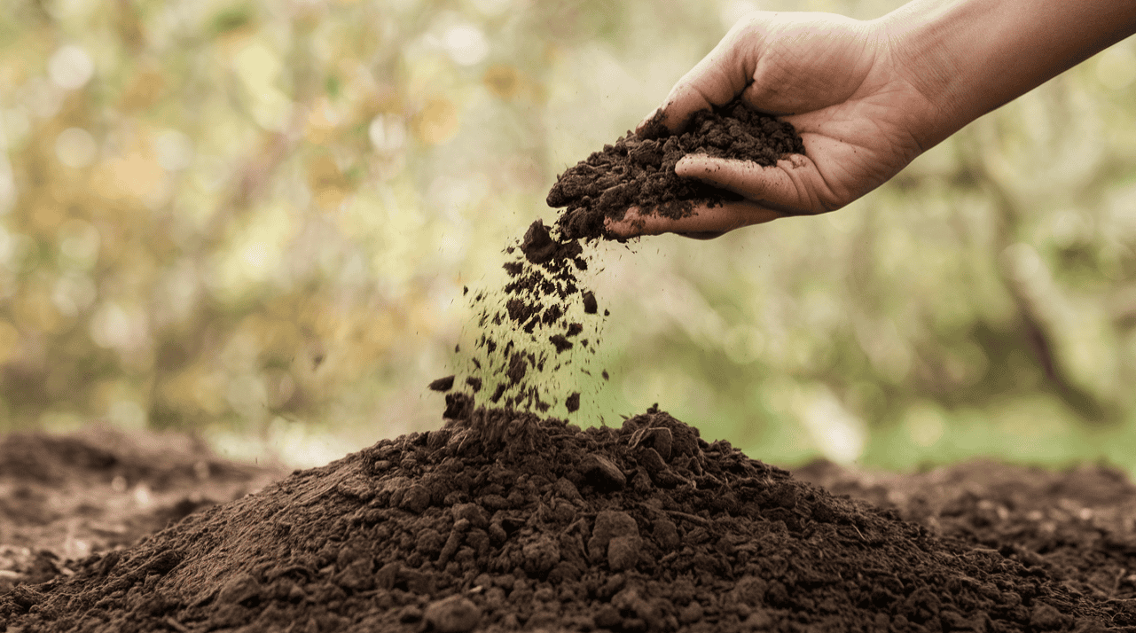 The Green Burial Process | Endswell Funeral Home | Eco-Friendly Funeral ...