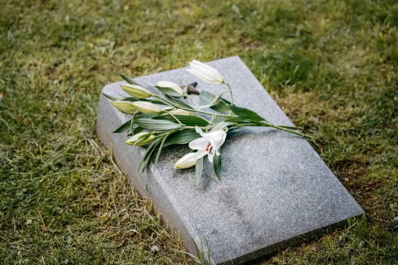A Sacred Natural Burial Ground in North Carolina | Green Burial Options ...